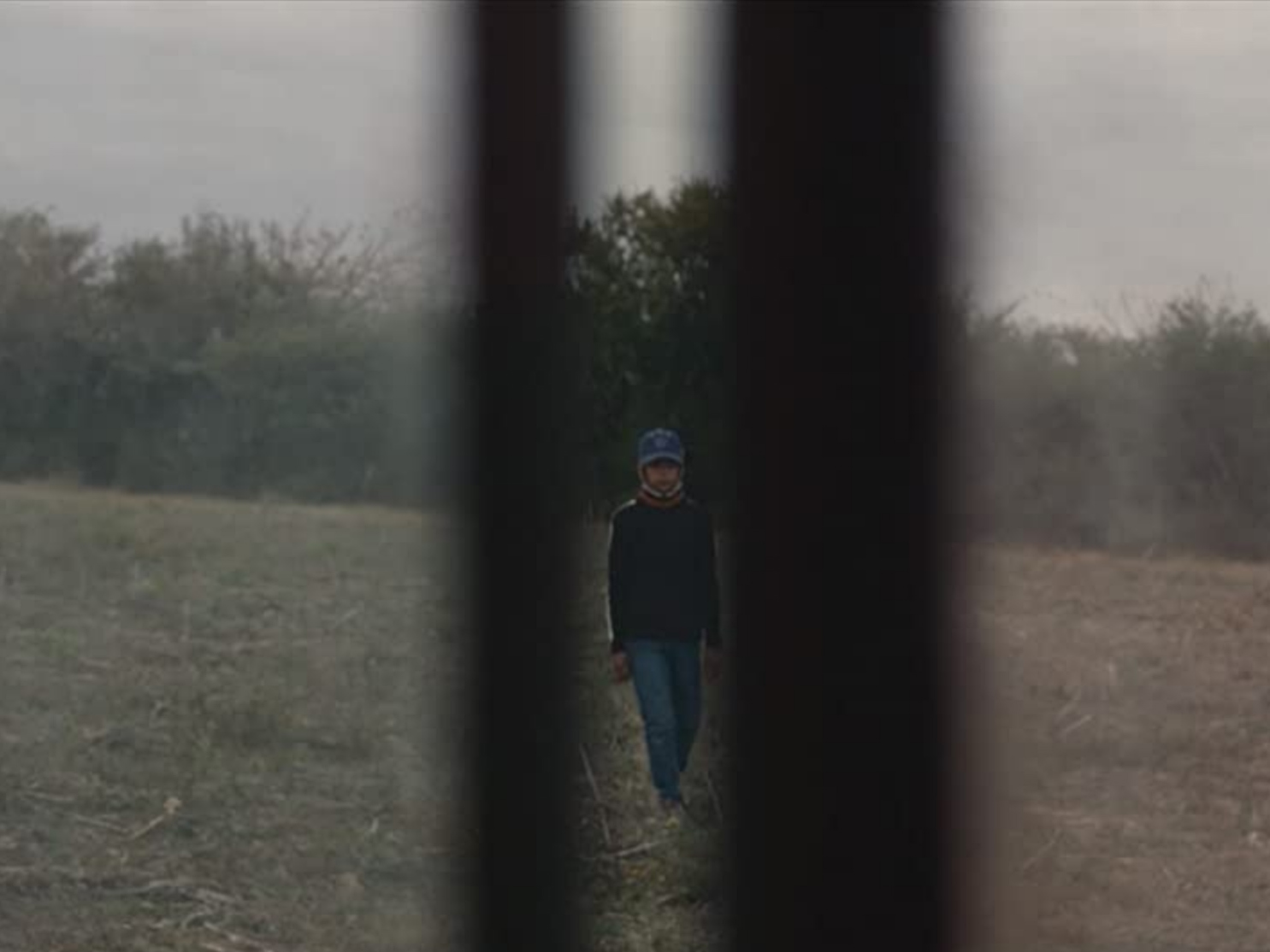 Identifying Features Archives - Golden Globes