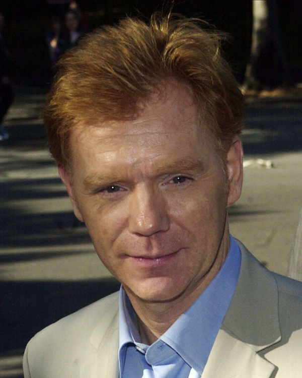 David Caruso - Golden Globes